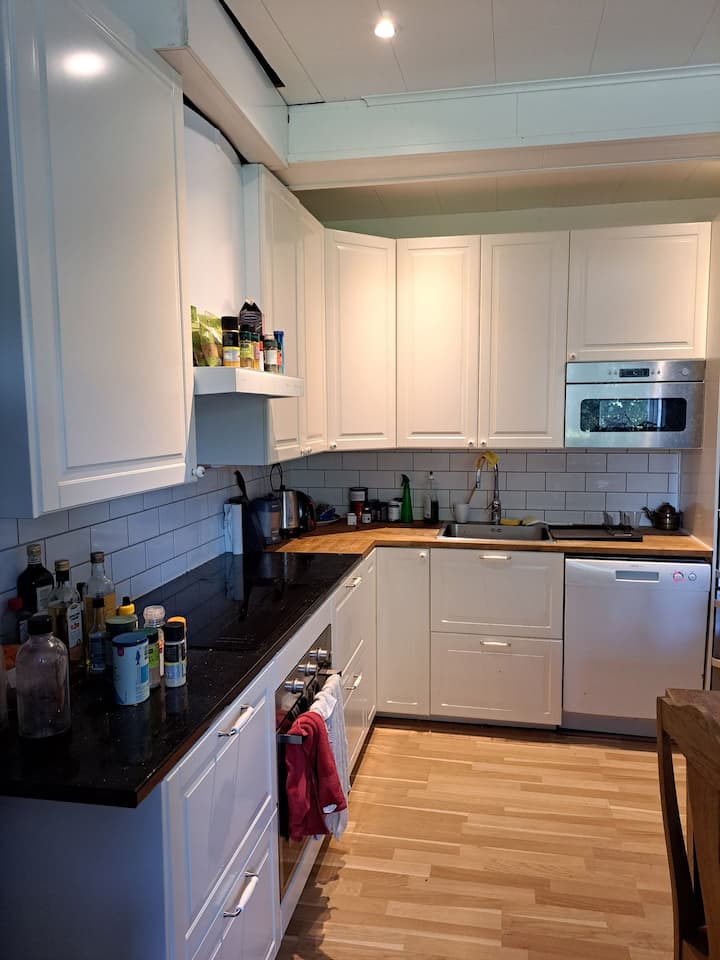Renovated Barn Apartment - Staffanstorp