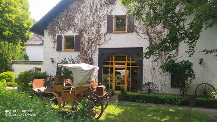 Aparthotel Mit Studio Für 25 Pers. Am Norderteich - Horn-Bad Meinberg