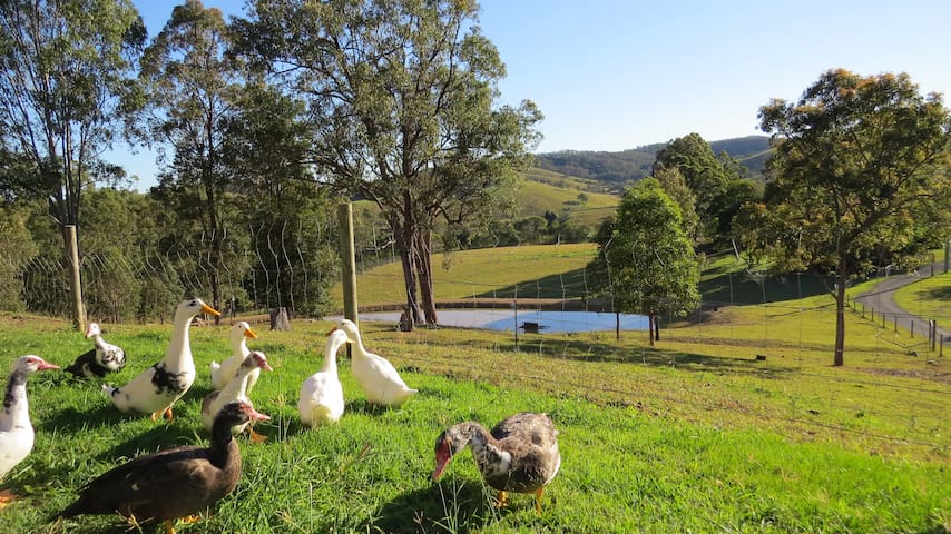10 Best Farm Stays In Queensland, Australia - Updated 2021 | Trip101