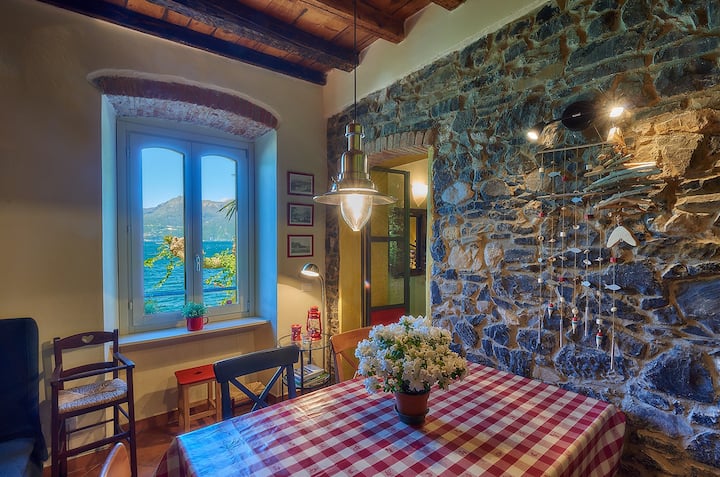 Casa Lucrezia-front Lake Apartment Near The Beach - Lierna