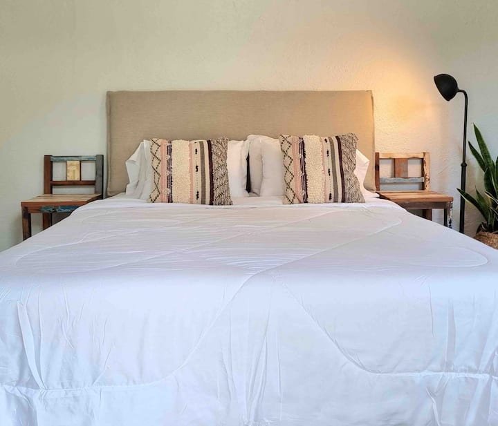 The C Spot: Central, Clean, Comfy, And Cute - 庫拉索