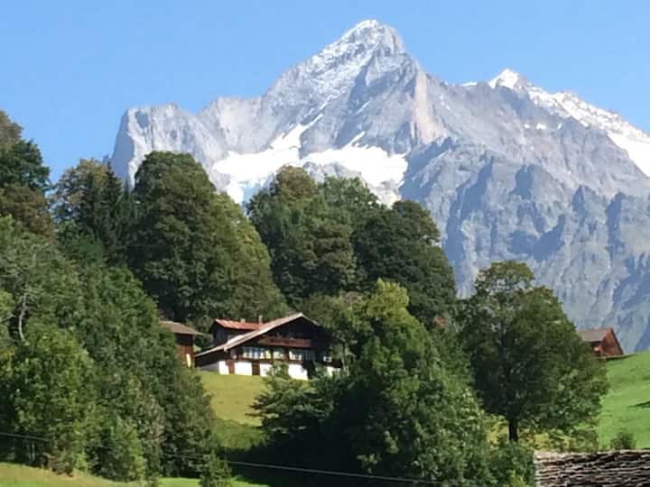 275 Year Old Swiss Chalet, Food Provided. - Grindelwald