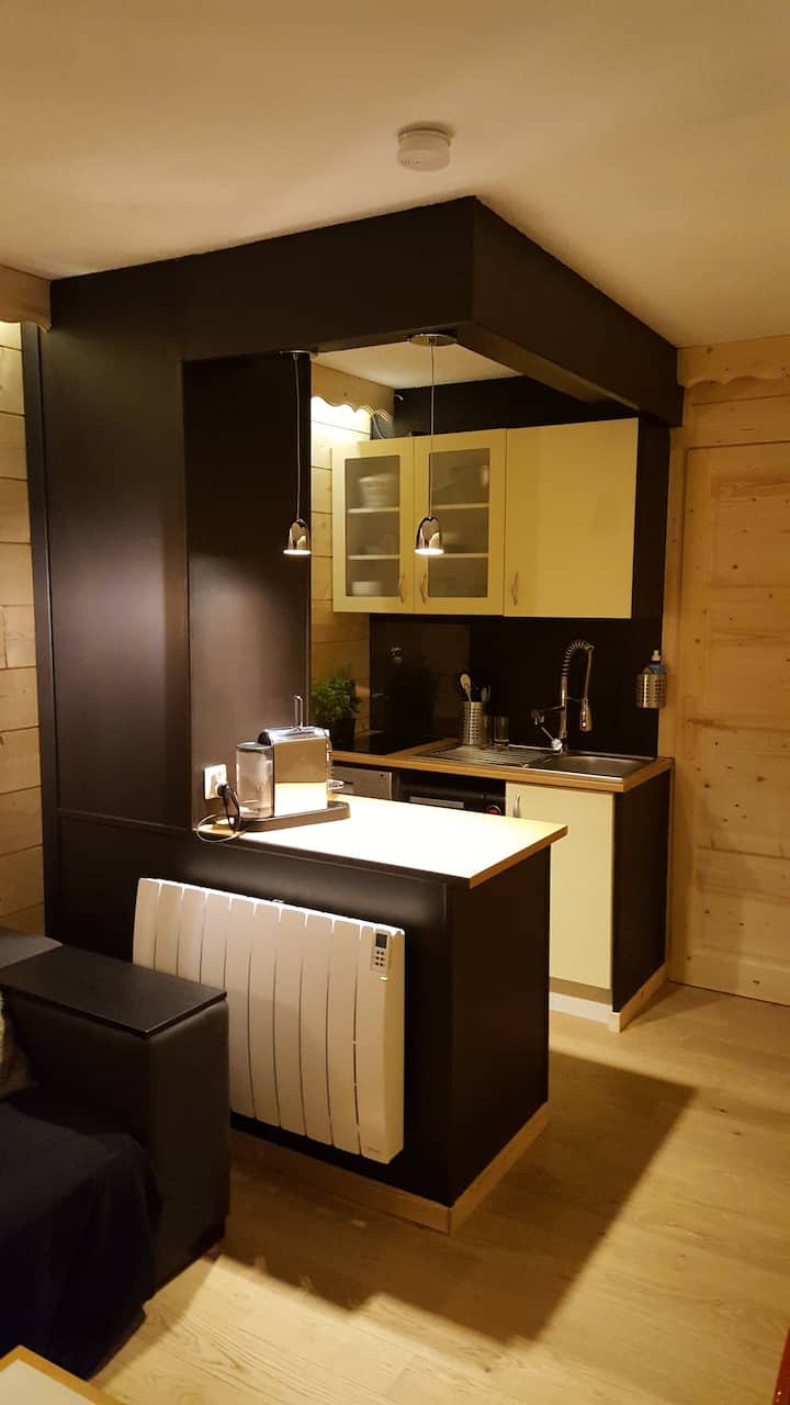 Le Corbier En Savoie Jusqu'à 5 Personnes - Le Corbier