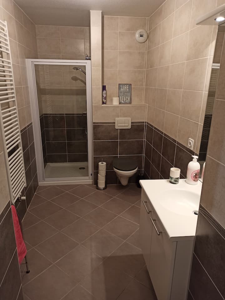 Studio Annecy - Pringy