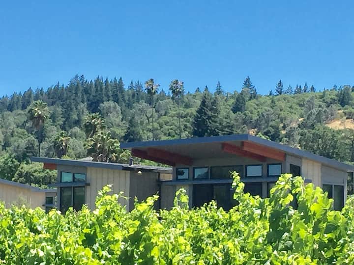 Contemporary Vineyard Retreat - Cloverdale, CA