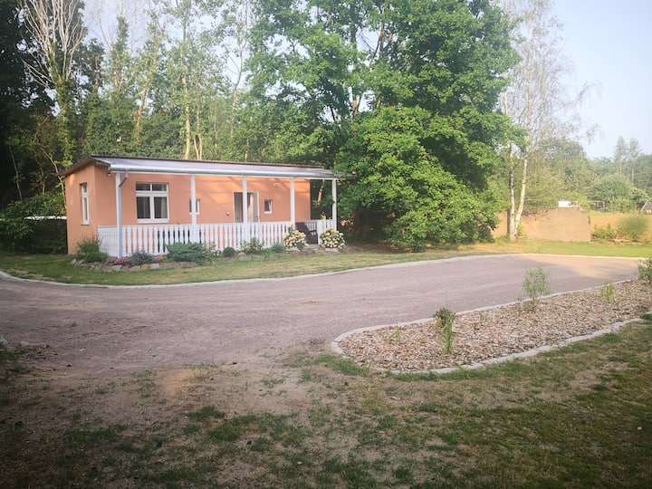 Appartement Am Wald 45 Qm - Lausitz