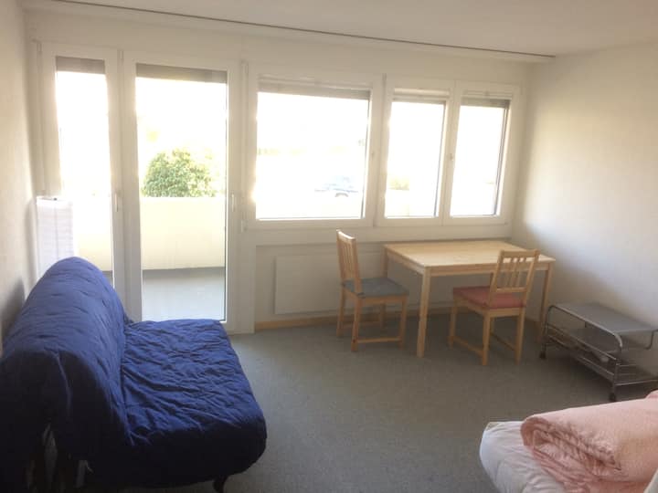 Bright Studio W/ Xl Balcony + Super Pt Connection - Rapperswil-Jona