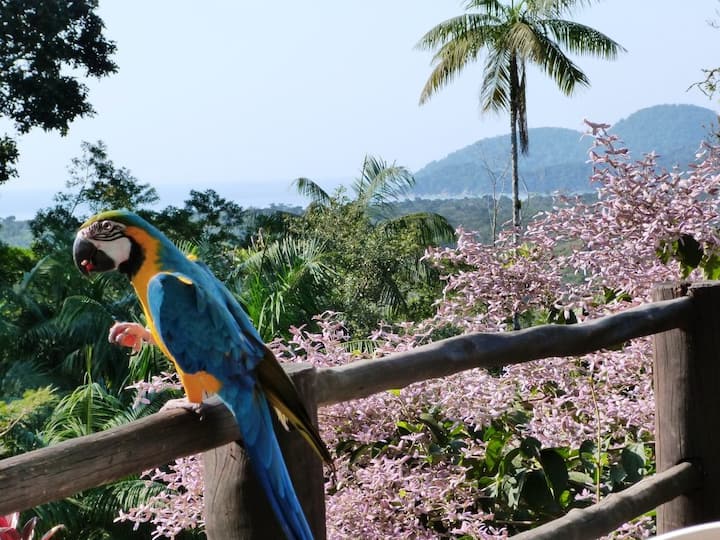 Venha Para O Nosso Paraíso Ecológico !!! - Peruíbe