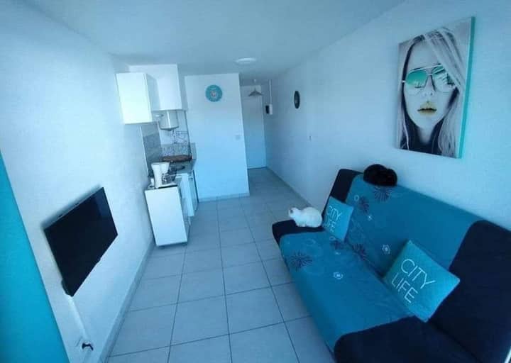Studio 2 Personnes Avec Piscine Centre Port - Agde