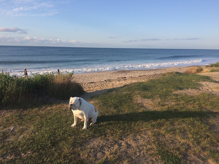 Walk To Beach And Beach Bars - Narragansett, RI