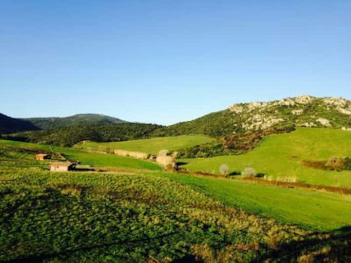 La Petite Maison Dans La Prairie 2 - Tizzano