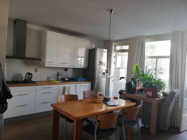 Central Pijp Area, Next To Restaurants And Musea - アムステルダム