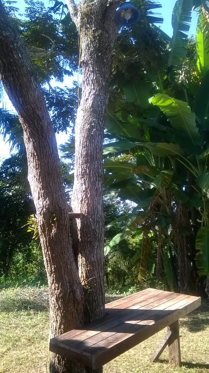 Recanto Em Guararema Para Quem Quer Tranquilidade - Guararema