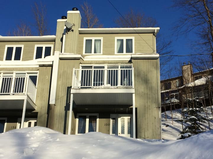 Chalet Au Mont Sutton - シュトン