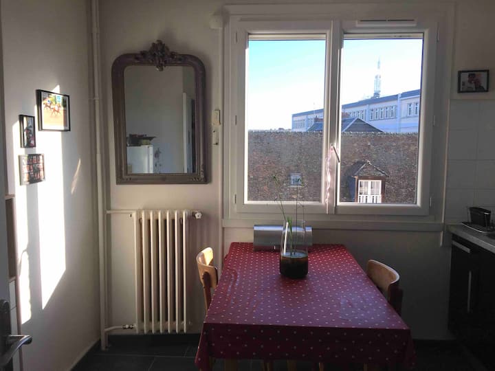 Bel Appartement Lumineux En Plein Centre Ville - Évreux