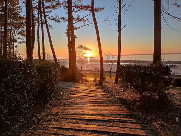 Maison Vue Sur Le Bassin, Proche Du Centre Ville - Arcachon