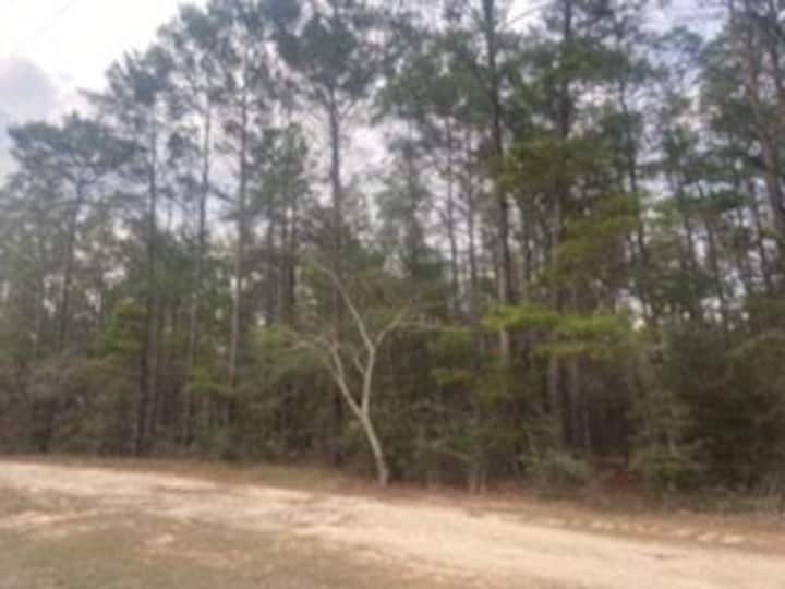 Finca Rivera Florida - DeFuniak Springs, FL
