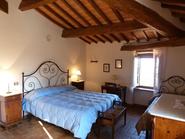 Un Vecchio E Romantico Podere - Rosa - Chiusi