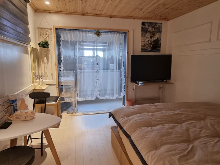 신흥愛퐁당(당채) - 조천읍