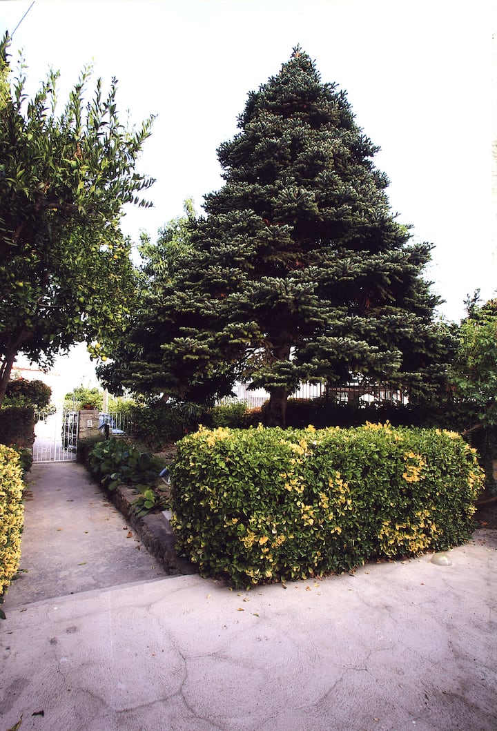 Tipica Villetta Ischitana - Lacco Ameno