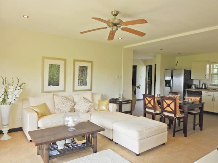 Modern 2 Bed/2 Bath Condo - With Pool And Gym - Barbados