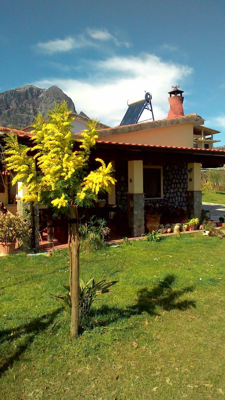 "Bellavista " House - Marina di Camerota