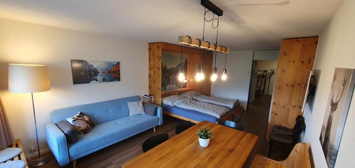 Berge, Stilvoll, Wifi, Familienfreundlich - Disentis