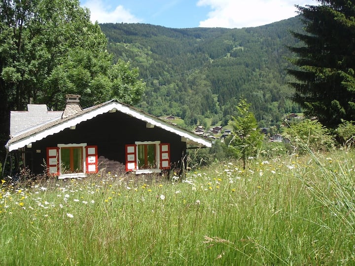 Charming Chalet - Amazing Views - Multi Pass Host - Morzine