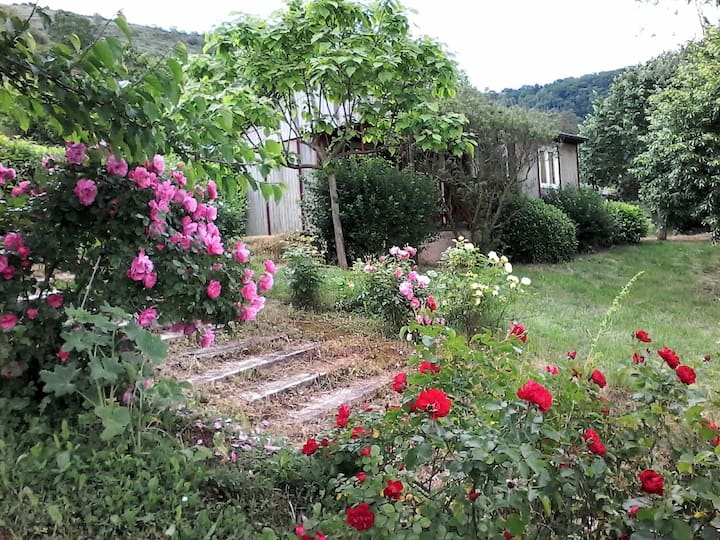 Chalet Palace Manège - Aveyron