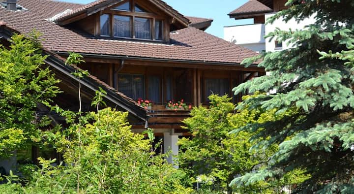 Cosy Holiday Apartment - Krattigen
