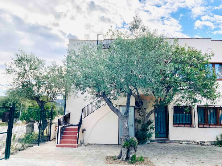 Strandnahes Ferienhaus Mit 2 Separaten Wohnungen - Roses