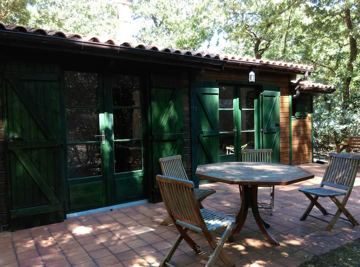 Chalet En Forêt Avec Piscine, à 800 M De La Plage - Soulac-sur-Mer