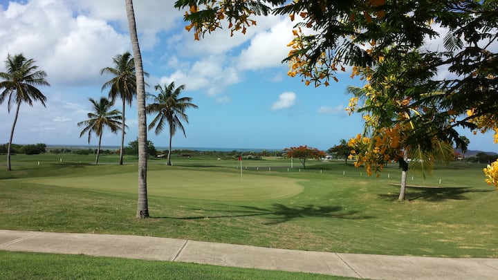 Punta Pozuelo Vacation Rentals & Homes - Guayama, Puerto Rico | Airbnb