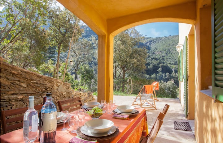 Charmant Studio Vu Sur Maquis ( Accessible Pmr ) - Plage Farinole