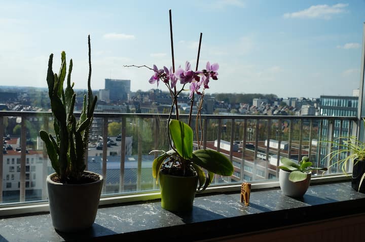 Apartment With A Wonderful View - Gand