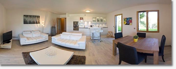 2 Bed Center Divonne/geneva/alps - Divonne-les-Bains