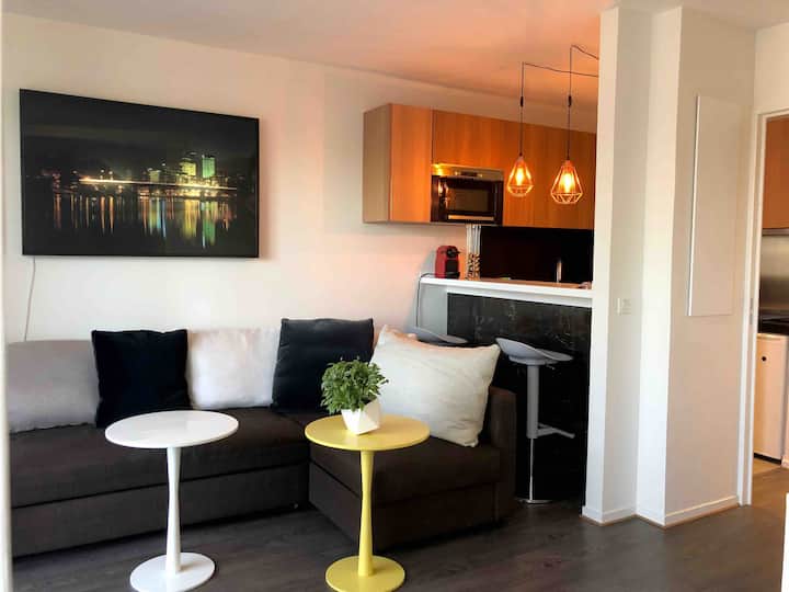 Beau 2pièces à Alfortville
Confortable Et Lumineux - Maisons-Alfort