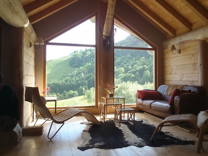 Vue Panoramique Sur La Montagne / Animaux Acceptés - La Bresse