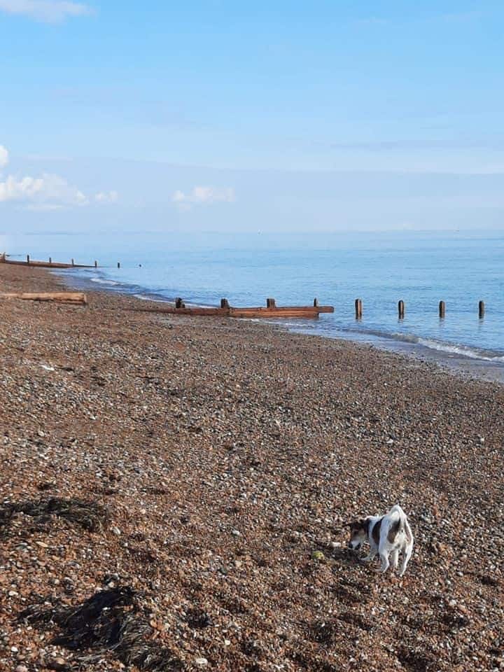Worthing Beach House - Sussex By The Sea - West Sussex