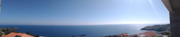 Villa Sublime Vue Mer Pisc. Privee Clim Terrassses - Llançà