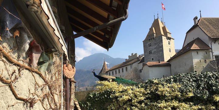 Votre Cocon Sous Les Toits ! - Aigle