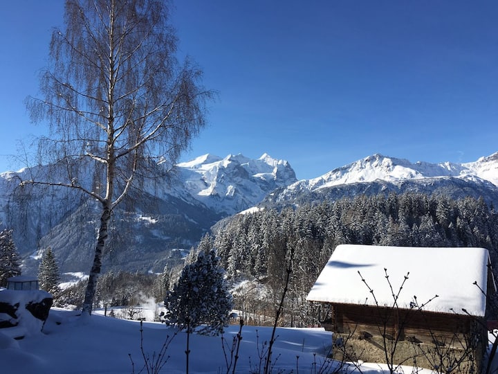 Chalet Wetterhorn 2,5 Zimmerwohnung - Hasliberg