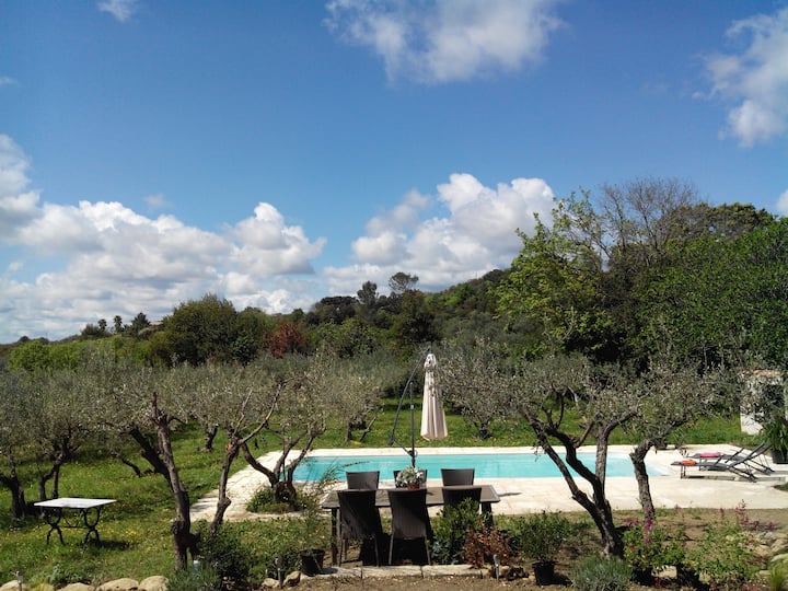 Belle Villa Au Milieu D'oliviers Centenaires - Sommières