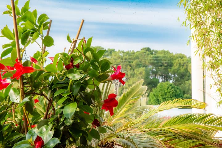 * Havre De Paix * Famille*nature* - Anglet