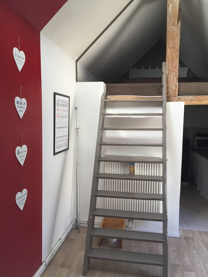 Studio "Cherry" - Saint-Pol-sur-Ternoise