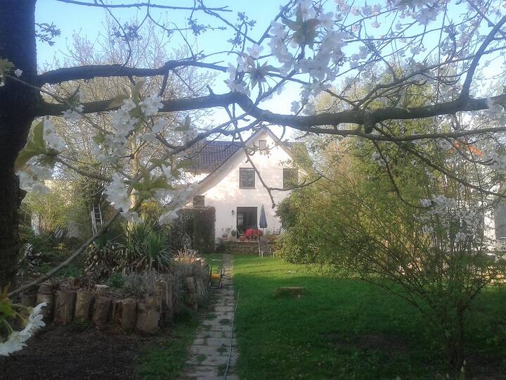 Schöne Wohnung In Grüner Oase - Bielefeld