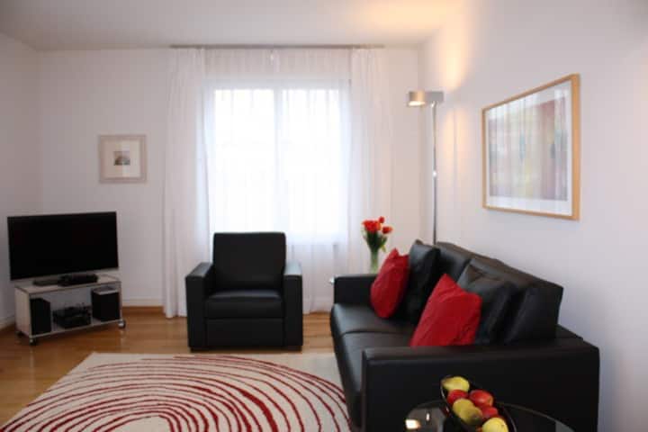 1br Apartment Close To Bellevue (Sf7) - Zurich