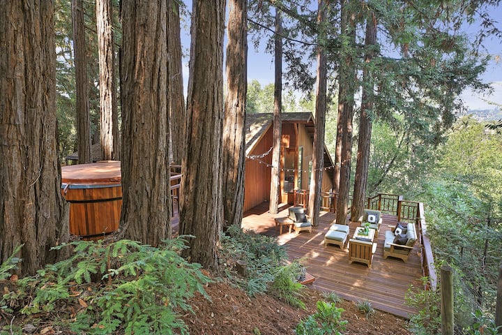 Beautiful 3br Spacious House In The Redwoods - San Rafael