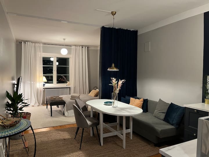 Cozy And Spacious Top Floor Studio With Nice Views - Helsinki