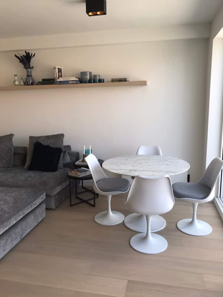 Mooi Dakappartement Met Groot Terras. - Bruges